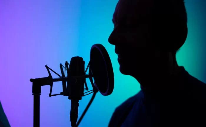 The Best Websites To Hire Voice Actors For Your Projects - Work From ...