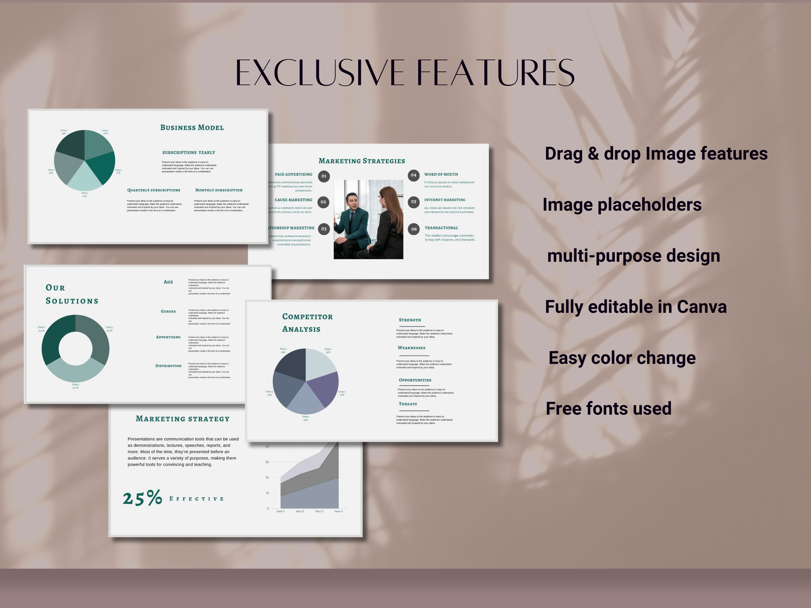 Business Plan Presentation Template - Work From Home Success
